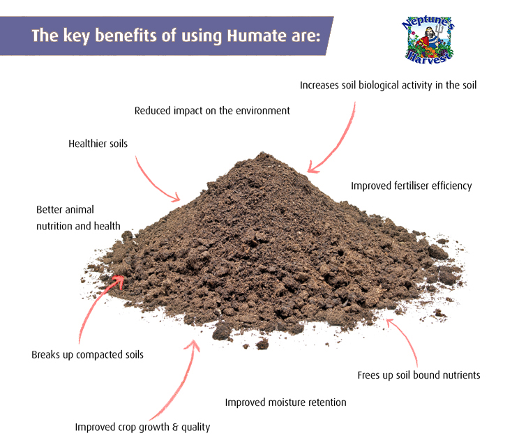 Liquid Humate Gallon