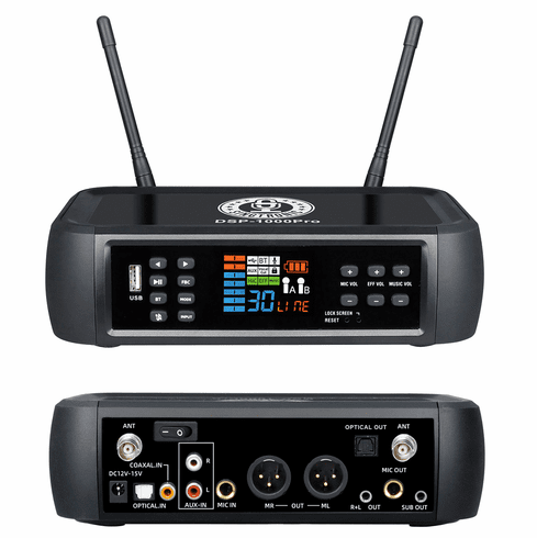 Bose L1 Pro 8 + Singtronic DSP-1000Pro Complete System