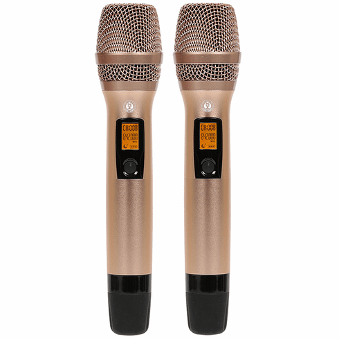 Bose L1 Pro 8 + Singtronic DSP-3000ProII Pro Karaoke System