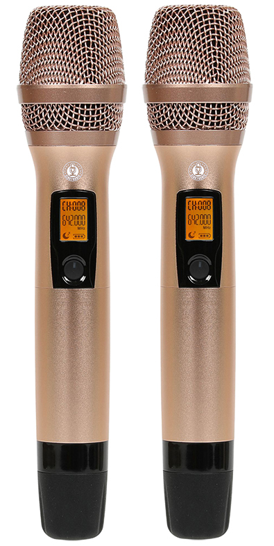 Bose L1 Pro 8 + Singtronic DSP-3000ProII Pro Karaoke System