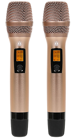 Singtronic KSP-6000Pro 6000W Digital 3-in-1 Karaoke Processor