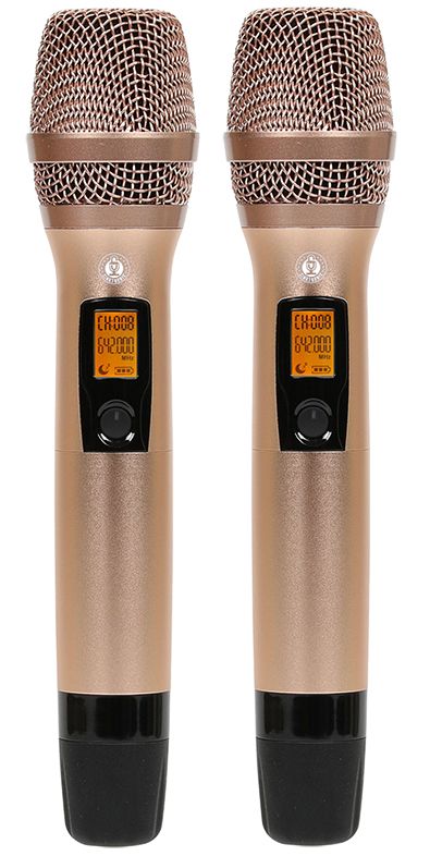 4000W Complete YouTube Karaoke System - Best System