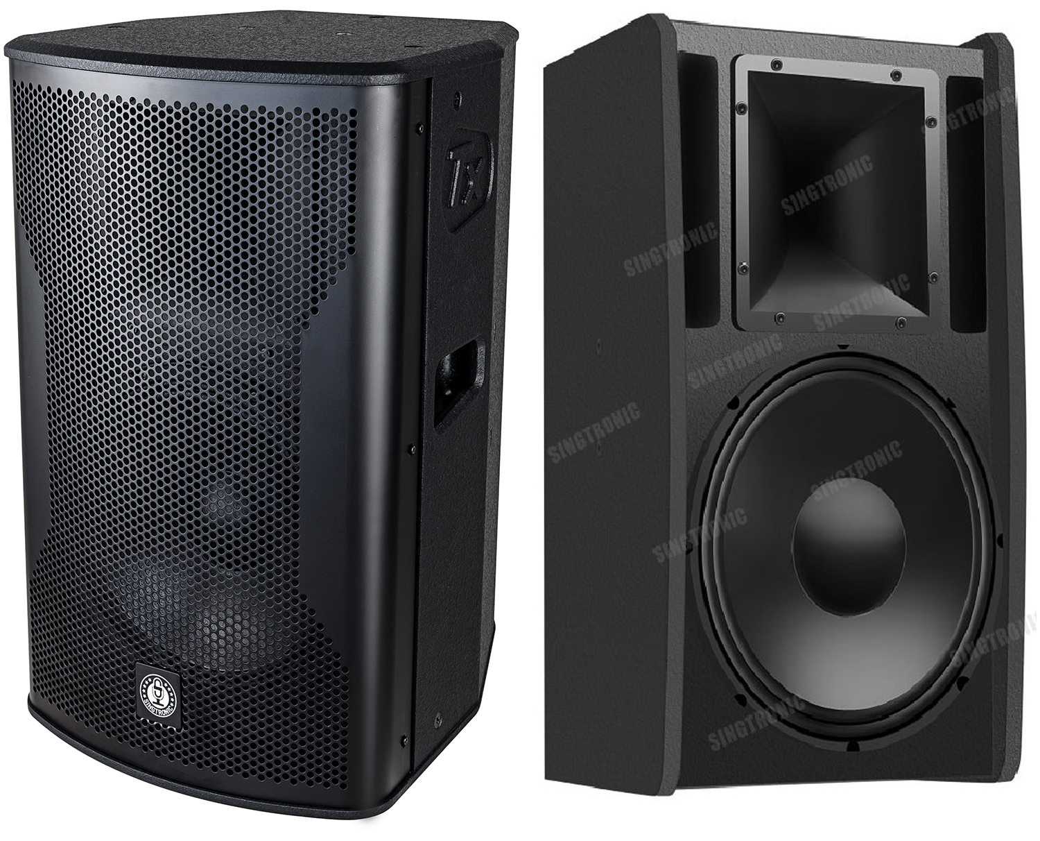 4000W Power Karaoke Speaker Built in 12" Super Bass & More