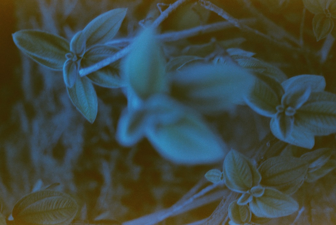 Ultrafine JAZZY BLUES Experimental Color Print Film 35mm x 36 ISO 25 ...