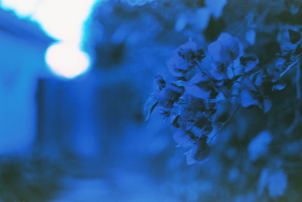 Ultrafine JAZZY BLUES Experimental Color Print Film 35mm x 36 ISO 25 ...