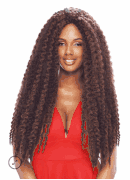 Janet Collection Braiding Hair