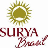 Surya Brasil HENNA Powder Hair Color