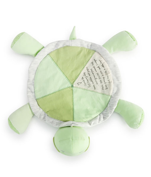 DEMDACO Baby Grow Slow Turtle 13" | Hearts Desire Gifts