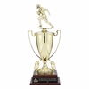 24 INCH MALE FOOTBALL PLAYER TROPHY WITH 13 INCH GOLD CUP, FIGURE, AND ...