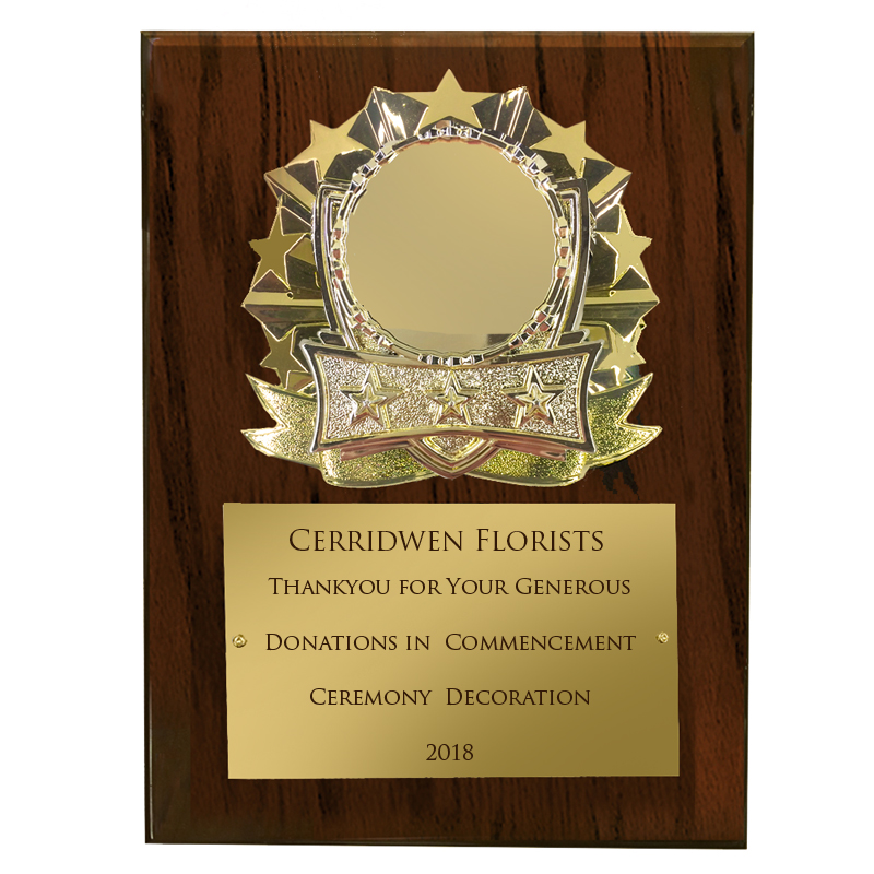 8 X 10 INCH ALLSTAR WALNUT PLAQUE HOLDS 2 INCH MEDALLION INSERT