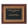 8 X 10 INCH PLAQUE WITH BLACK SCREENED PLATE