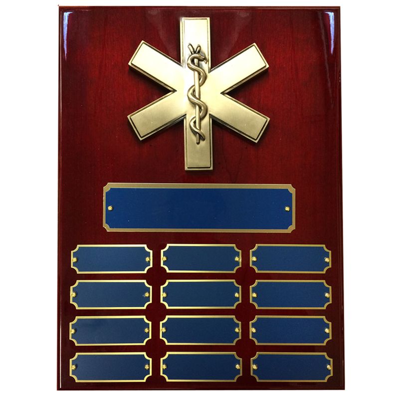 9 X 12 PERPETUAL EMT PARAMEDIC STAR OF LIFE PLAQUE ON PIANO CHERRY ...