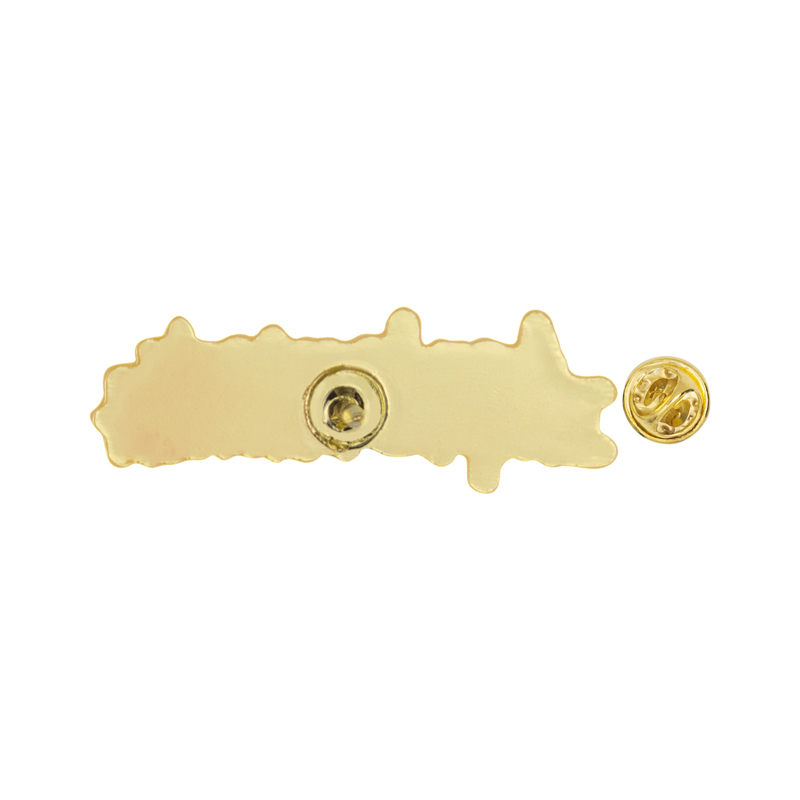 ACADEMIC IMPROVEMENT LAPEL PIN