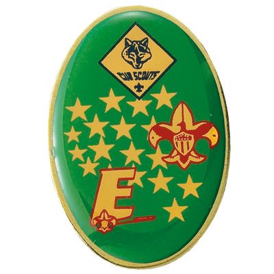 CUB SCOUT PIN