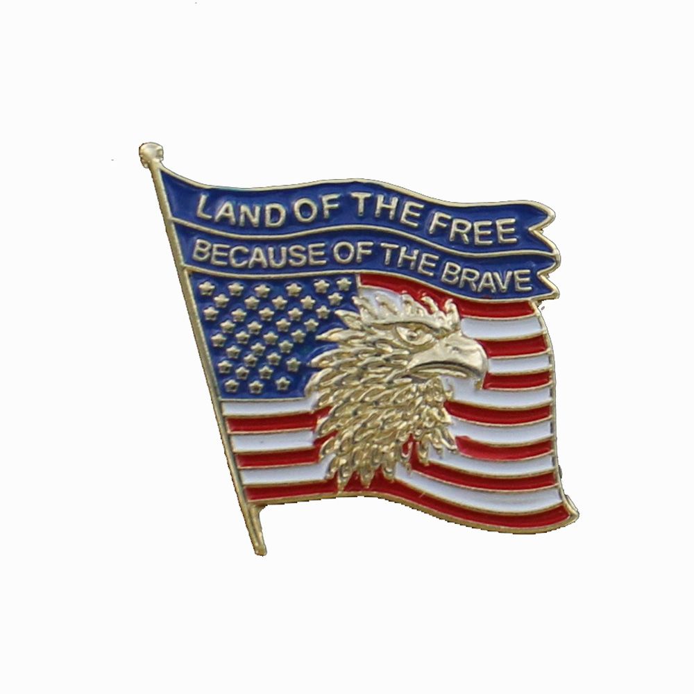 EAGLE HEAD AMERICAN FLAG PIN