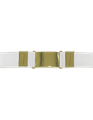 Ceremonial Honor Guard Equipment