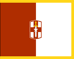 U.S. Army Medical Brigade Flag