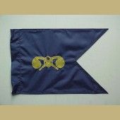 U.S. Army Regulation Size Guidon