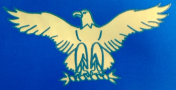 USAF Guidons Air Force Guidons