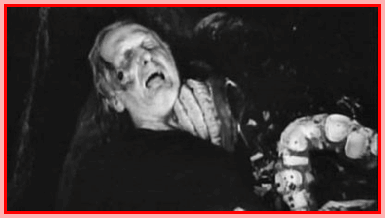 ATTACK OF THE GIANT LEECHES - 1959 - KEN CLARK - RARE DVD