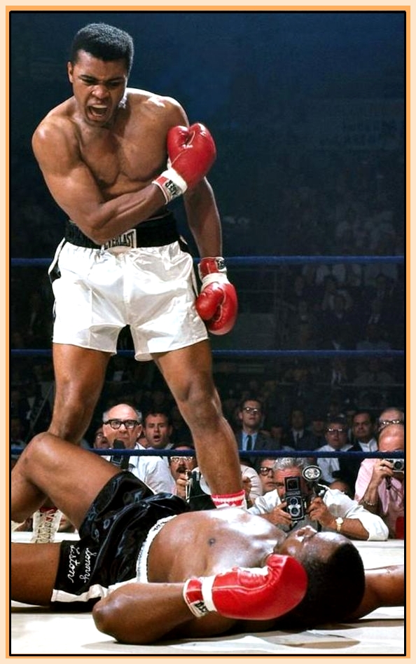 Best Boxing Fights Of All Time Dvd at Jackie Joseph blog