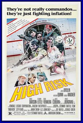 HIGH RISK - 1981 - WITH JAMES BROLIN - RARE DVD