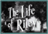 LIFE OF RILEY - TV SERIES - WILLIAM BENDIX - 28 DVDS