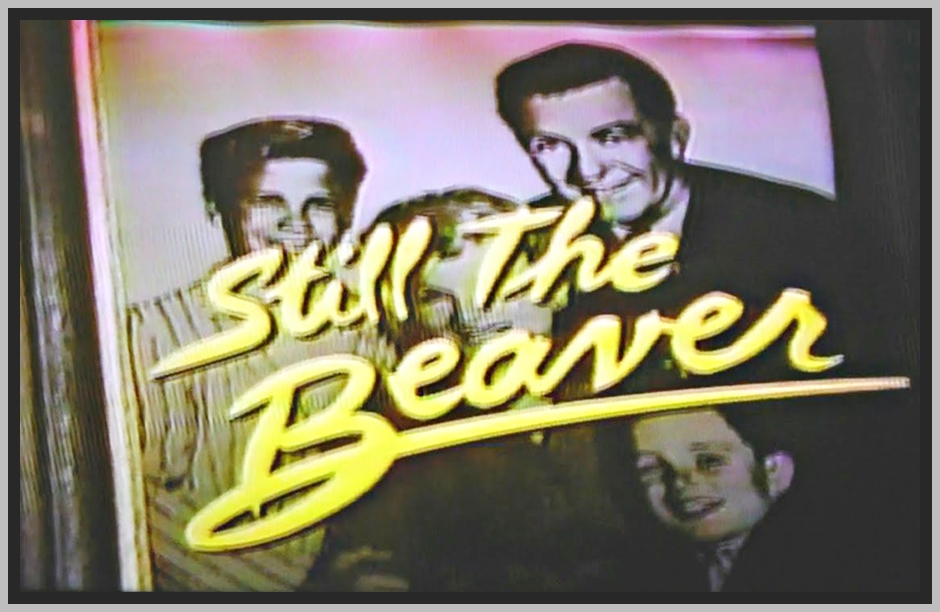 STILL THE BEAVER - TV SERIES - BARBARA BILLINGSLEY