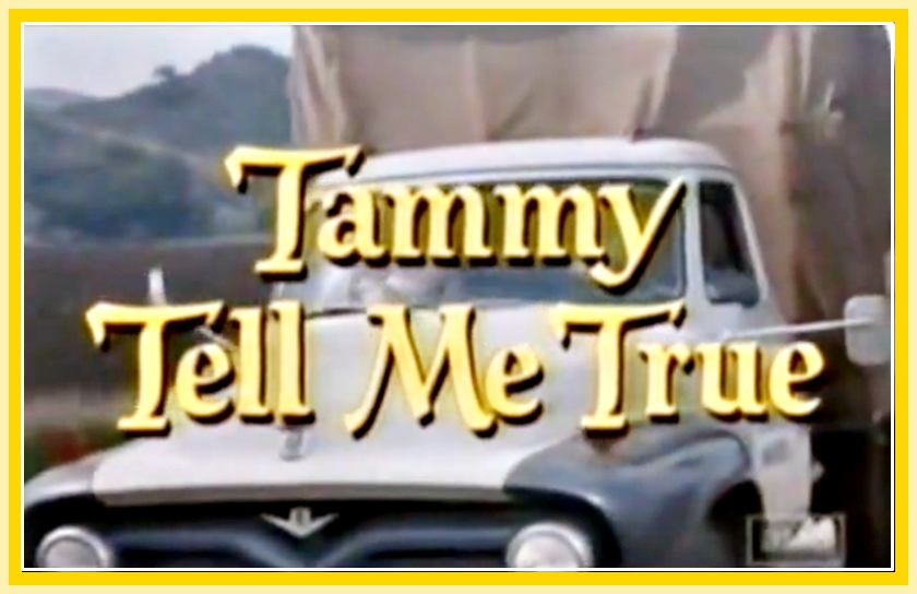 Tammy Tell Me True