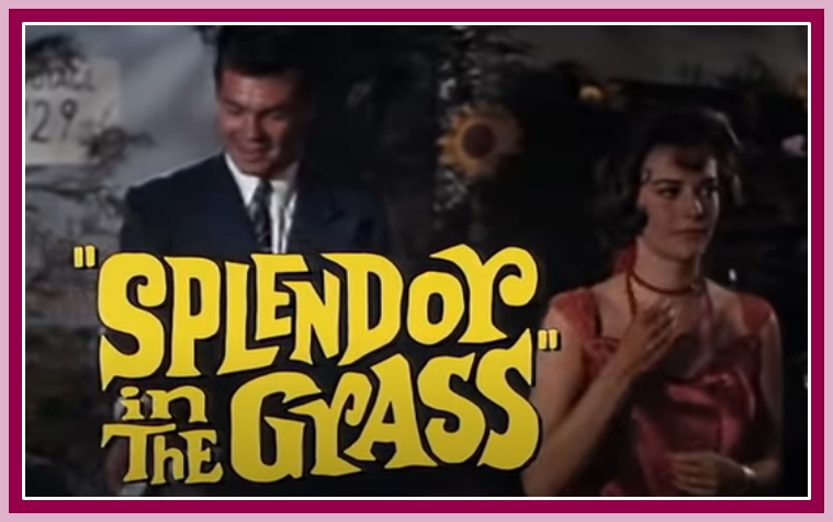 Splendor In The Grass Warren Beatty