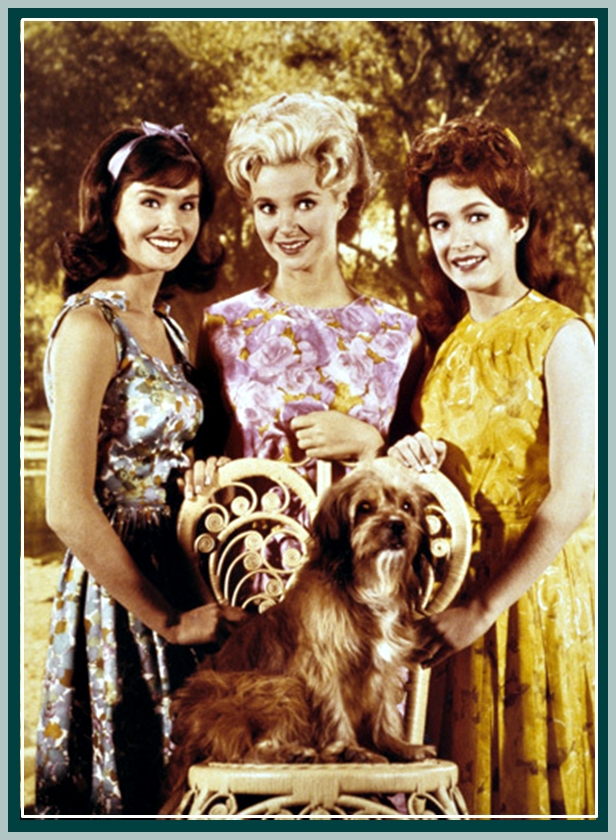 Petticoat Junction