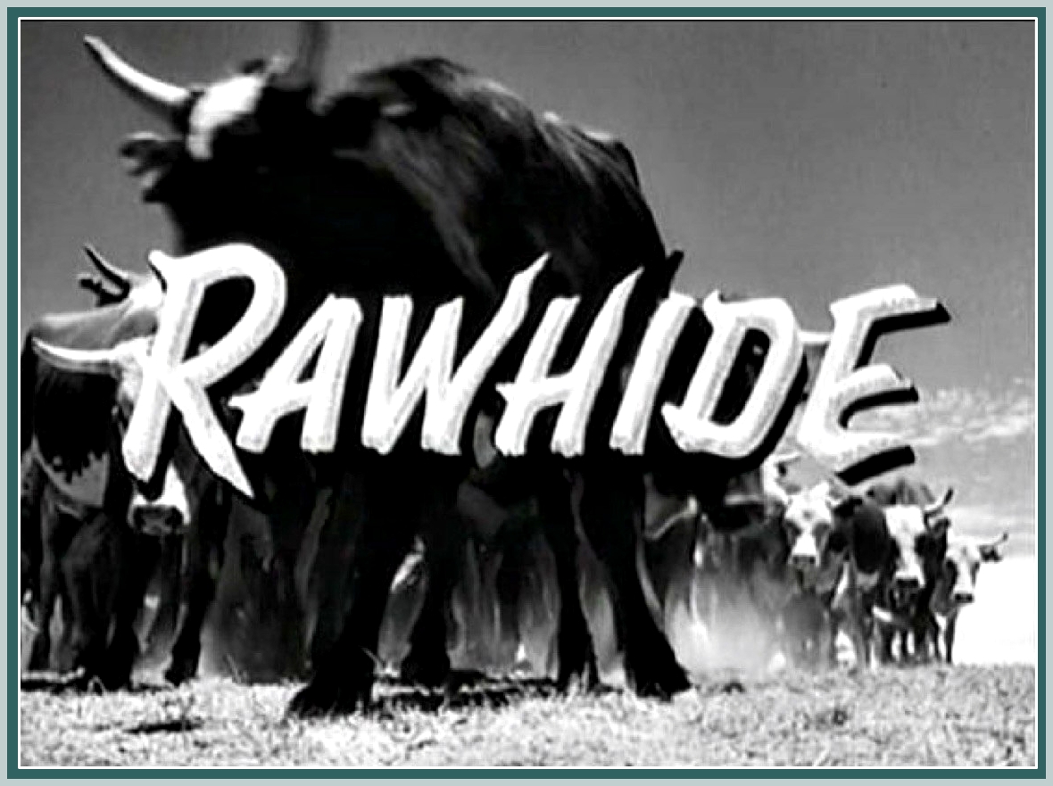 RAWHIDE TV SERIES - 40 DVDS - CLINT EASTWOOD - RARE DVD
