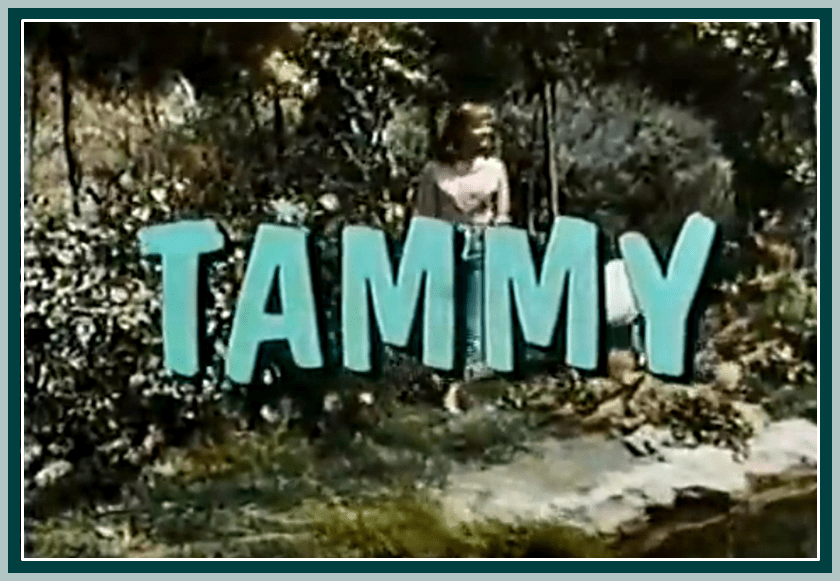 TAMMY - 1965 - COMPLETE SERIES - DEBBIE WATSON - DVD!