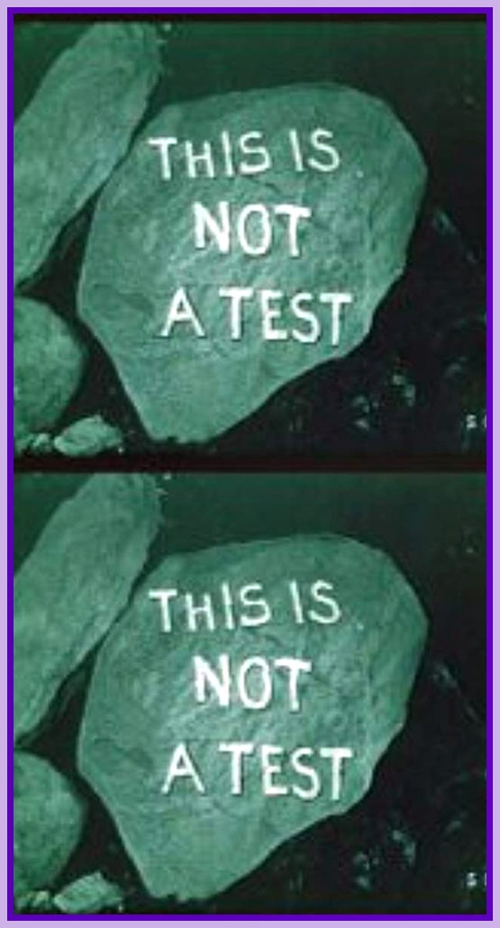 THIS IS NOT A TEST - 1962 - RARE DVD