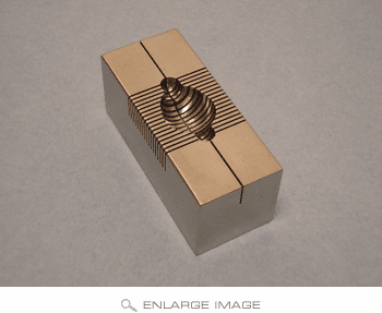 Adult Mouse Brain Slicer Matrix with 1.0mm coronal section brain slice ...