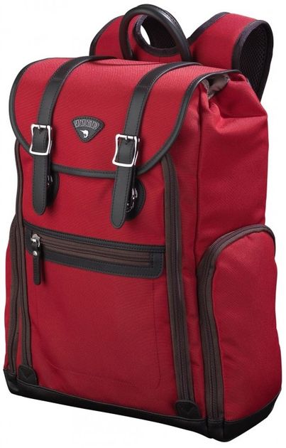 Jump Luggage Cassis Flapover Computer Backpack