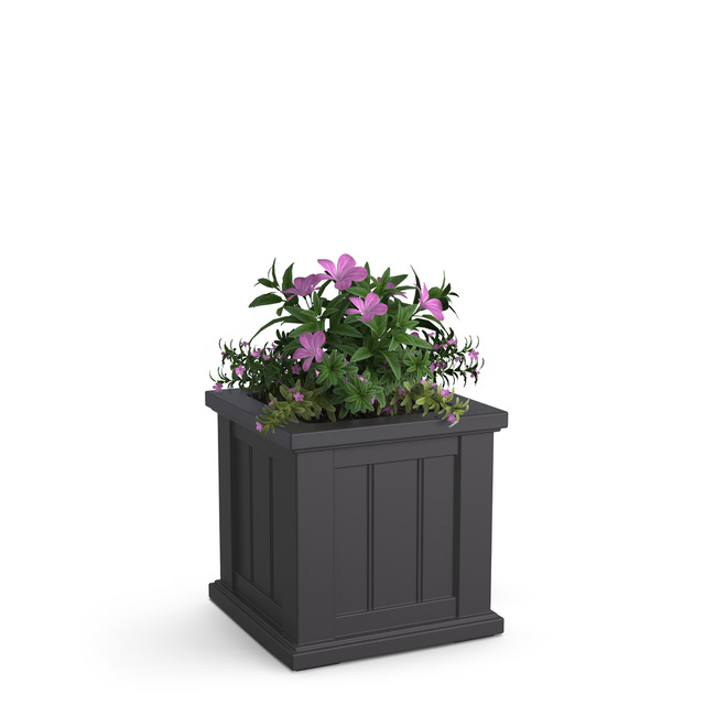 Cape Cod Small Planter by Mayne - Free Shipping