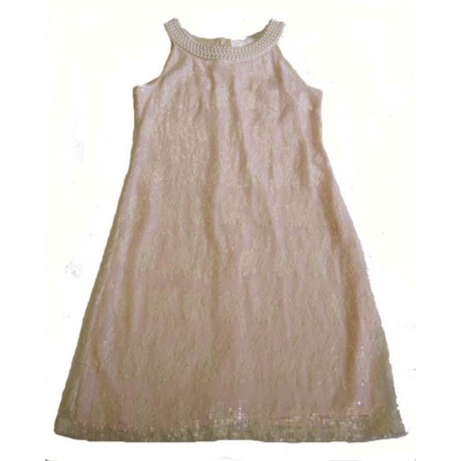 Biscotti Dresses *Shimmery Lace Dress*