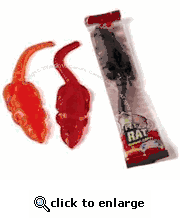Jelly Belly Gummi Pet Rat Candy