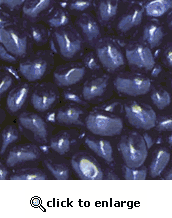 Just Born Licorice Jelly Beans Candy