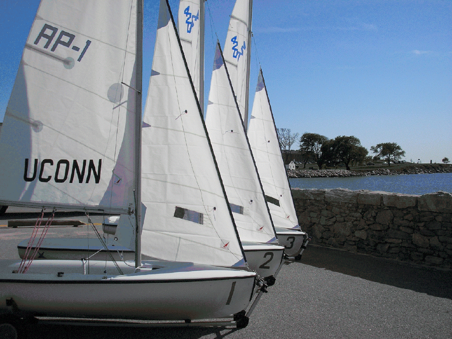 420 Sailing Parts