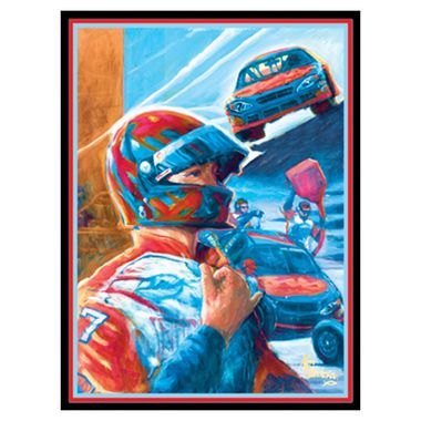 Art 4 Kids Stock Car Driver Wall Art FREE SHIPPING - $66.22