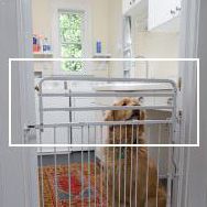 Cardinal Gates Safety Gate Extensions - FREE SHIPPING