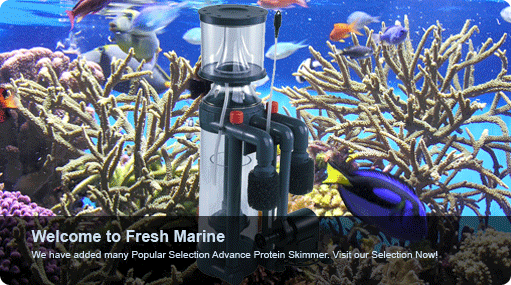Saltwater Fish - FreshMarine.com - Salt Water Fish Vivid Aquarium Color ...