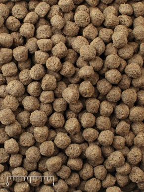 FreshMarine.com - Mazuri Special Animal Feeds Mazuri Crane Diet, 50 Lb ...