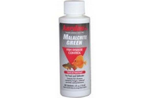 FreshMarine Offers Kordon Malachite Green Fish Disease Control 4oz