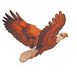 11" FLYING EAGLE PATCH on sale $12.99