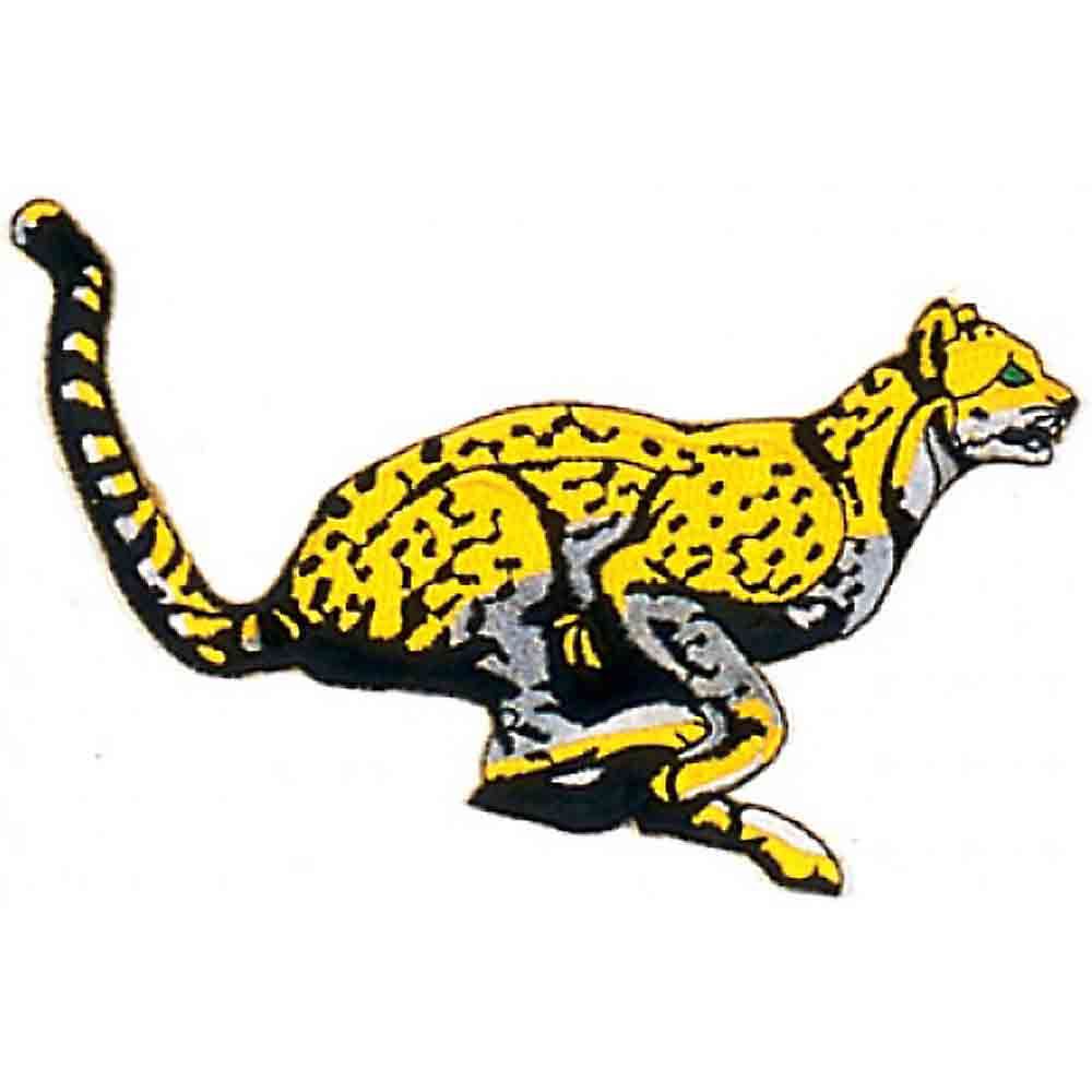 CHEETAH PATCH on sale only $6.99