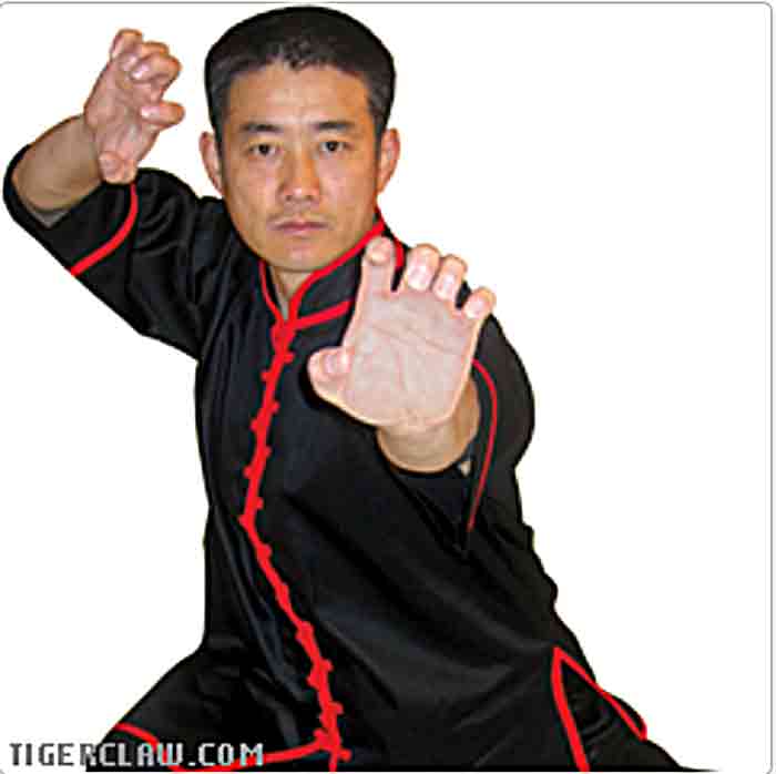 TIGER CLAW INTERLOOP KUNG FU TOP on sale starting price $32.99