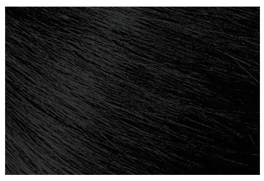 Matrix Logics Hair Color Chart